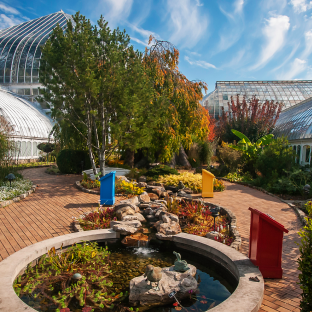 Exhibits and Events | Phipps Conservatory and Botanical Gardens