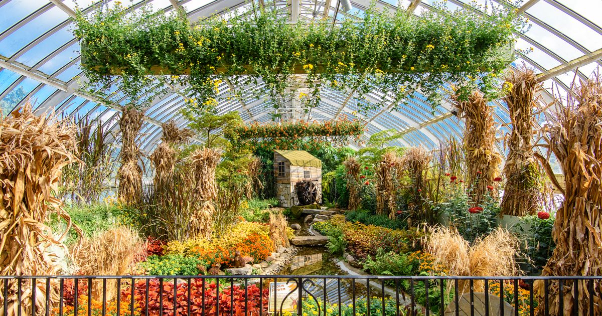 Fall Flower Show: Bask in Nature's Bounty | Phipps Conservatory and ...